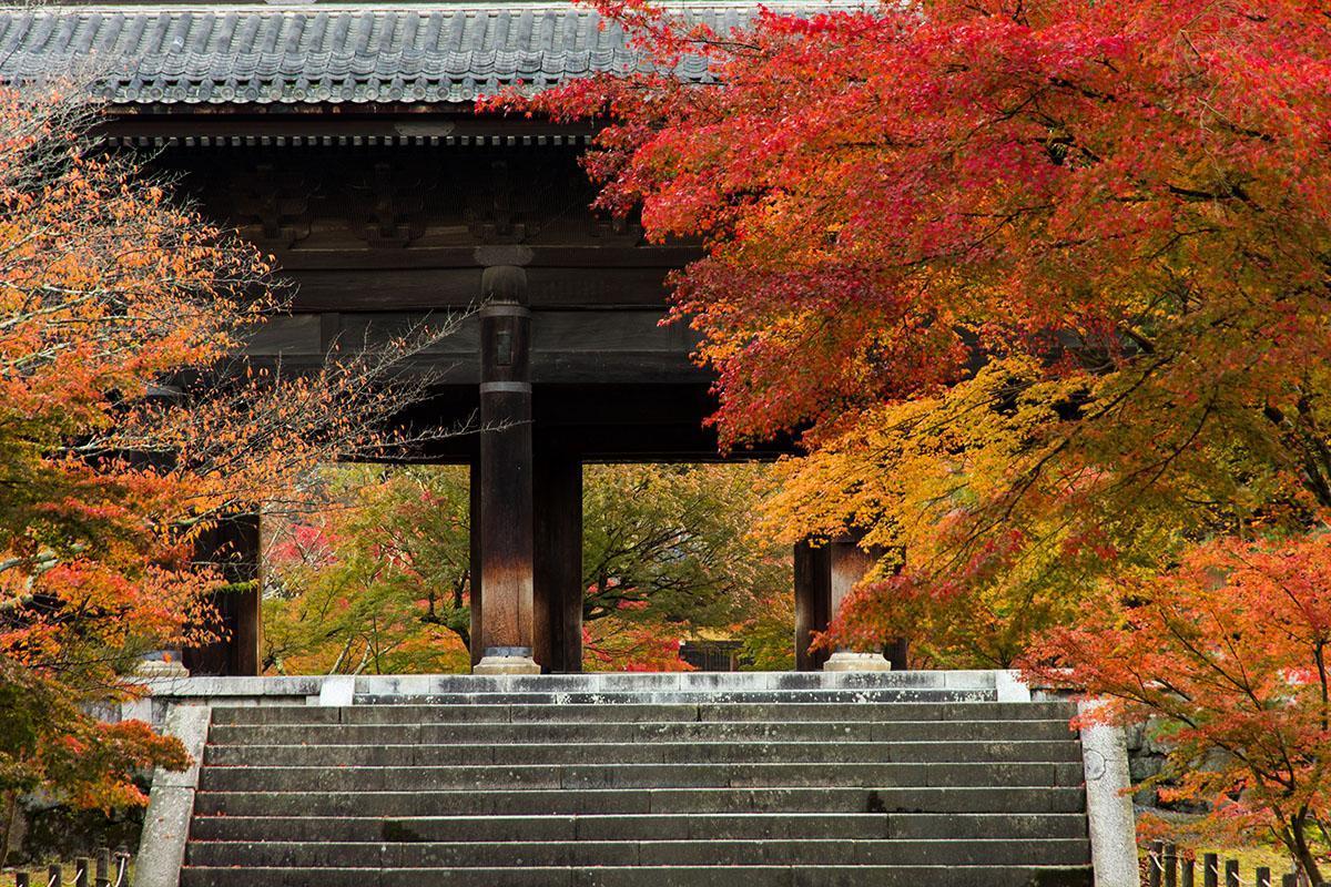 Nanzen-ji Temple | Gardens | UEYAKATO Landscape [Japanese garden ...